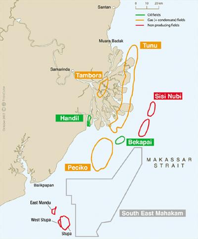 Indonesia: Indonesian government may extend Total's Mahakam block contract