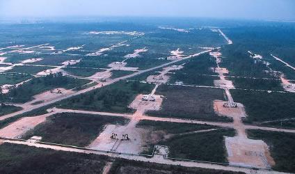 Indonesia may approve Chevron's development plan for the North Duri ...