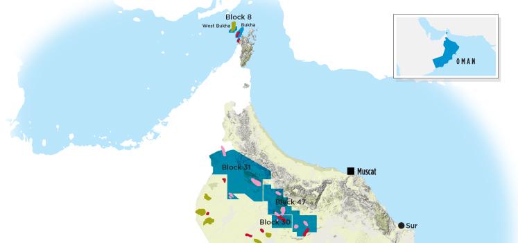 Oman: DNO International's West Bukha-4 well in Block 8 offshore Oman ...