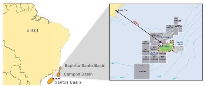Brazil: Petrobras and Chevron to sell stakes in the Maromba oil field ...