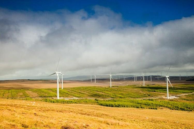 Ireland: Onshore wind farms win in Ireland’s T-4 capacity auction